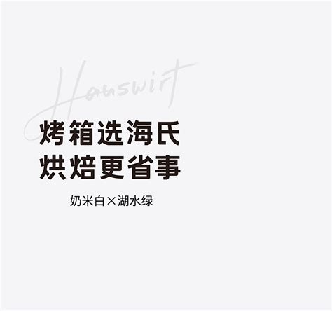 C45海氏烘焙电器有限公司