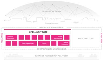 SAP Intelligent Enterprise Framework Overview And Business