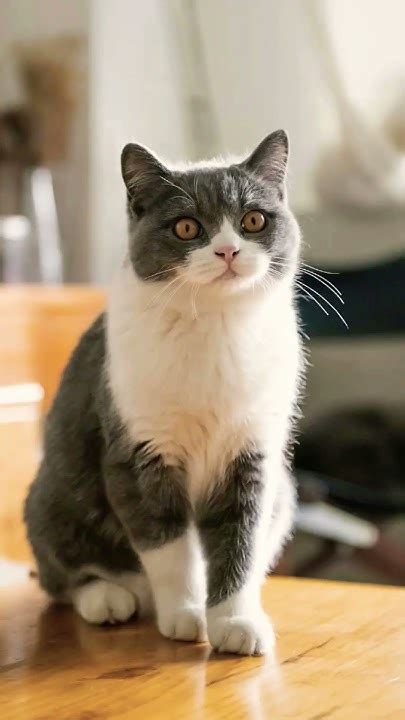 خوشگل آرین پسرهای دنیا😻پسر Youtube