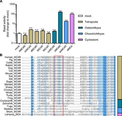 Evolutionary Identification Of The Requirement Of The Second Intracellular Loop For The