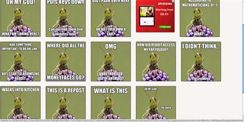 Matt Cole Macro Photography The Confused Grasshopper Goes Viral