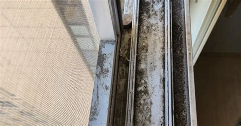 일단 방문해주신 기사님이 굉장히 친절하셨습니다 너무 전 후 다르게 깔끔하게 진행해주시고 진행과정 수시로 보내주시고 하서서 일하는 와중인데도 걱정없이 맡길 수 있었어요