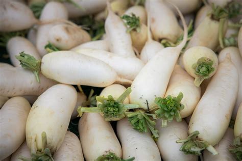 Daikon Radish A Healing Superfood Tcm World