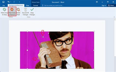How To Remove An Image Background Using Microsoft Word Dignited