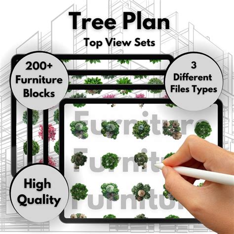 200 Tree Plan View Set Modern Classic Tree Designs Architecture Landscape Design Top View