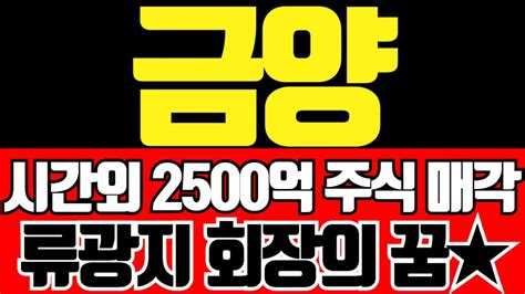금양 최대주주 주식 매각 2500억대 류광지 회장의 꿈 금양 2차전지 4695 4680 테슬라 배터리관련주