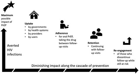 Diagram Of The Prevention Cascade Added To The Emod‐hiv Model Prep