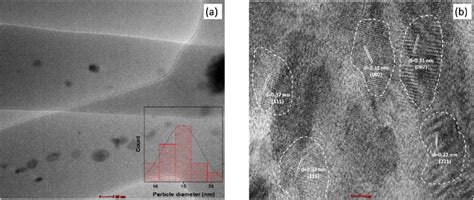 A Tem And The Inset Figure Show The Pbs Particle Diameter