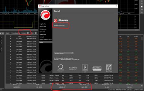 Ctrader Forum Account Margin Not Resetting When Backtesting Bot