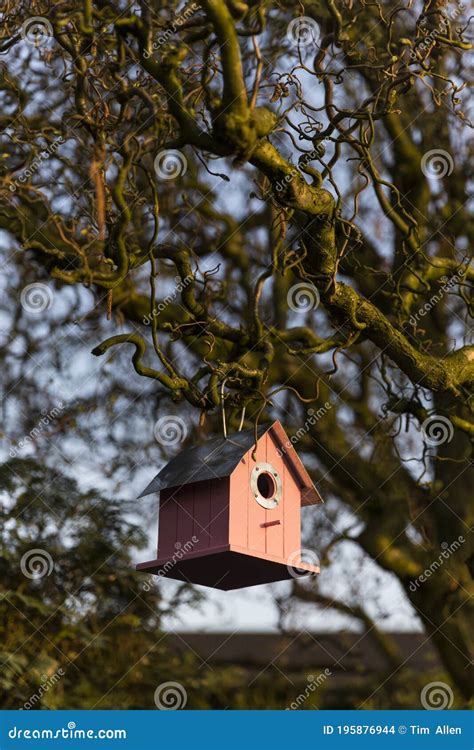 Bird House Hanging In Tree With Afternoon Light Stock Photo Image Of Structure Autumn 195876944