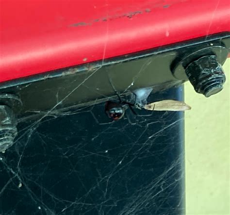 News In Proteomics Research The Game Of Finding A Good FASTA Database