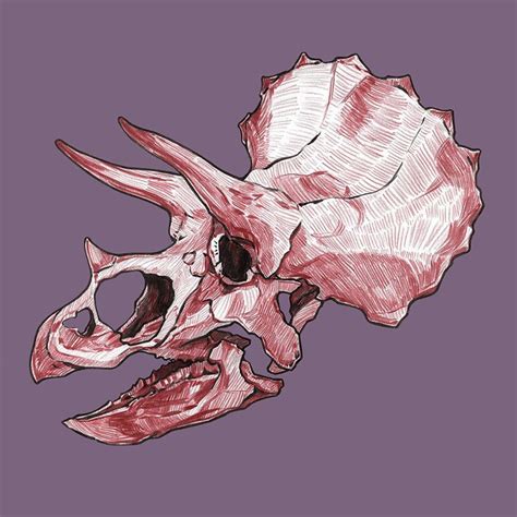 Пин от пользователя Dr0c Hi на доске идеи для скетчбука Рисунки динозавров Рисунки черепа