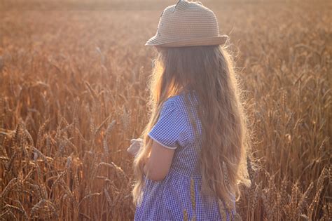 밀밭 시골에서 밀모자를 쓰고 푸른 격자 무늬 여름 드레스를 입은 사랑스러운 어린 소녀 긴 금발의 물결 모양의 머리를 가진 아이 4 5세에 대한 스톡 사진 및 기타 이미지