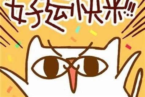 为什么有些人的运气总是那么好文昌若朴堂文化