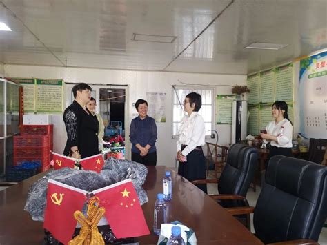 暖心南陵县妇联对口帮扶灵璧县捐赠仪式举行！澎湃号·政务澎湃新闻 The Paper