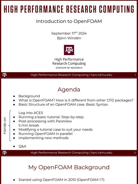 aces intro openfoam fall24 pdf software engineering computer