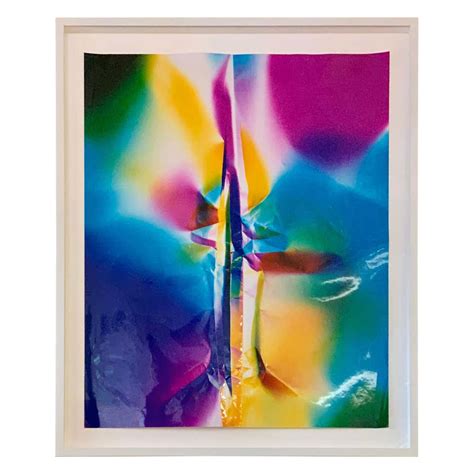 Caesura Ii Photographic Art Chromogenic Print By Ellen Carey For Sale At 1stdibs