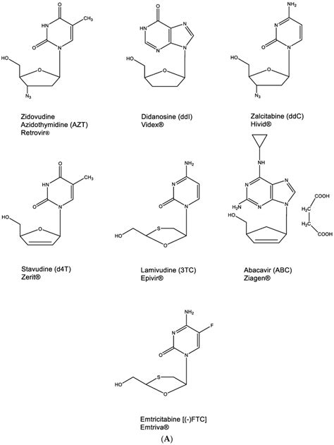 A 2′ 3′ Dideoxynucleoside Analogues Ddns B Metabolism Of Ddns Download Scientific