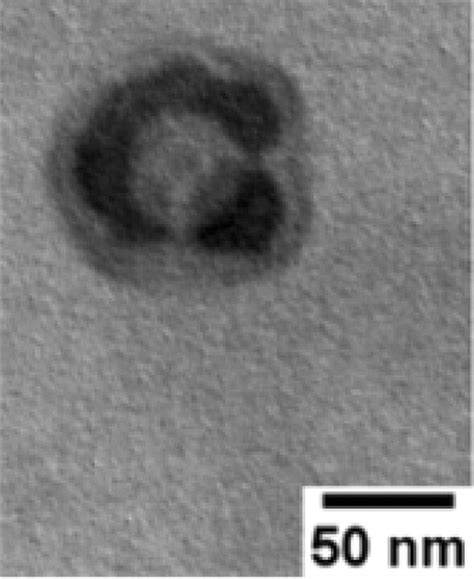 tem micrograph showing an isolated h sio2 nanoparticle with an