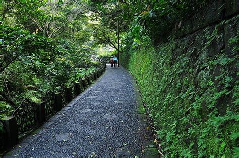 北市信义 虎山自然步道新支线Tony的自然人文旅记第0890篇
