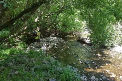 How To Identify Sources Of Faecal Contamination Our Land And Water Toitū Te Whenua Toiora Te Wai