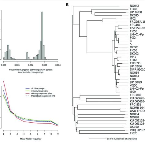 nucleotide diversity a distribution of pairwise nucleotide