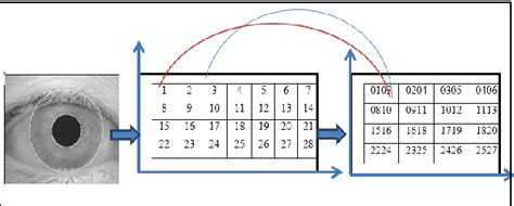 Figure 1 From Cancelable Biometrics Technique For Iris Recognition Semantic Scholar