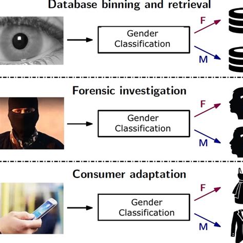 Different Application Scenarios Where Soft Biometrics Such As Gender Download Scientific