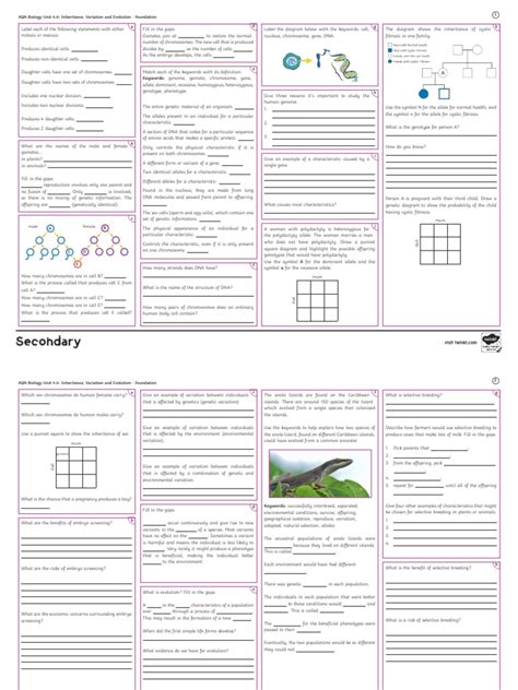 06 Inheritance And Evolution Foundation Revision Activity Mat Pdf Allele Zygosity