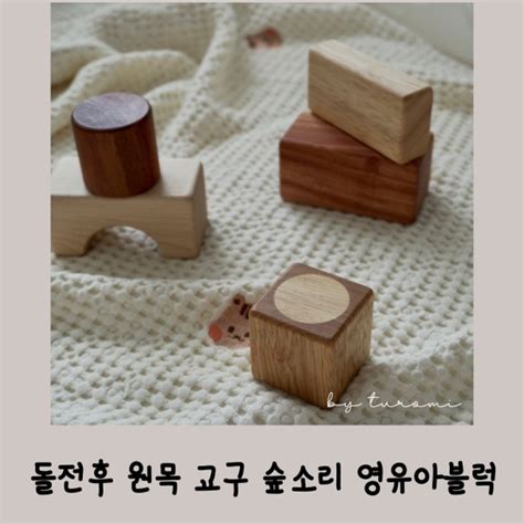 돌아기 원목 장난감 소근육 발달에 좋은 숲소리 영유아블럭 22p 네이버 블로그