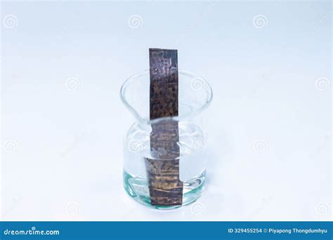 Electroplating Experiment In Chemistry Laboratory Stock Photo Image Of Education Metal