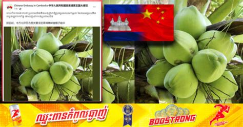 ដំណឹងល្អ ចិន អនុញ្ញាតឱ្យកម្ពុជានាំចេញដូងស្រស់