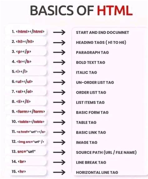 Ameer Hamza Riaz On Linkedin Basics Html Tags Which Are Commonly Used
