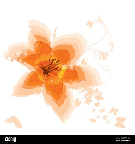 Beautiful Orange Lily Vector Stock Vector Image And Art Alamy