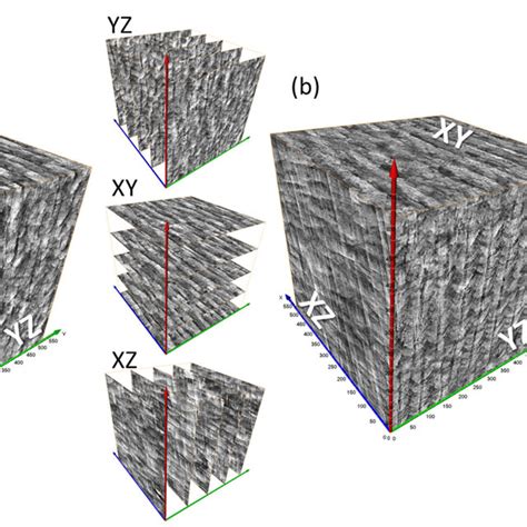 the 2d microstructures obtained from three perpendicular sections
