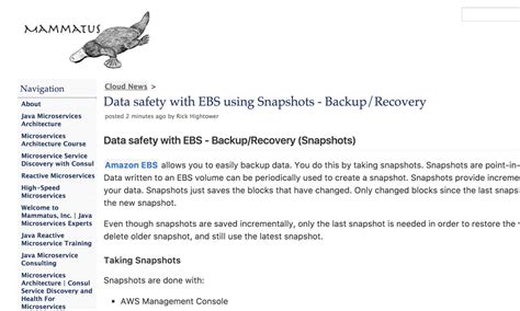 Data Safety With Ebs Using Snapshots Backuprecovery