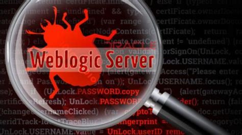 钟馗之眼 Python 调用框架 Co0ontty