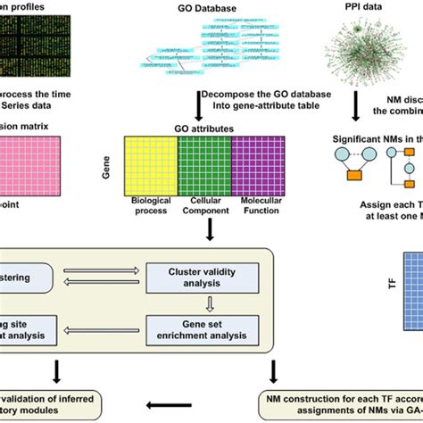 Schematic Overview Of The Computational Framework Used For The Network Download Scientific