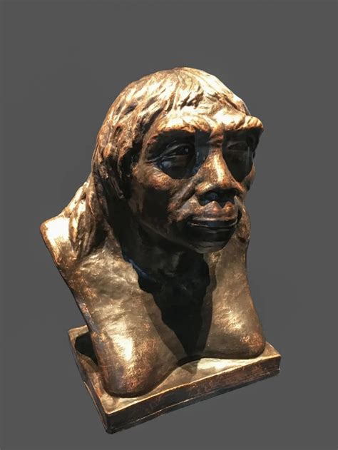 道中华 文物talkshow｜元谋人上门齿化石：中华大地拥有超百万年的人类生命史 中国民族网