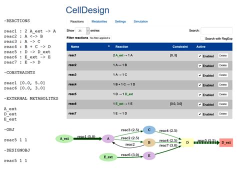 8 The Celldesign Workflow A Metabolic Model Left Here An Example