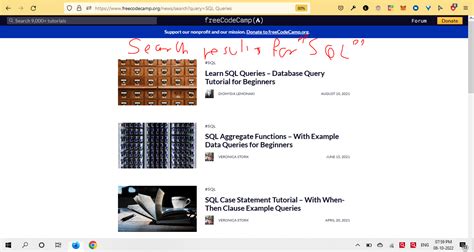 search page enhancements · issue 47933 · freecodecamp freecodecamp