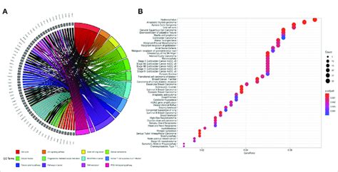 A Gochord Plot Of Significantly Enriched Kegg Pathways B Download Scientific Diagram