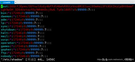 linux — 实操篇 01（xshellandxftp的使用、vi和vim编辑器入门、实操命令 用户管理） xshell profile 如何编辑 csdn博客