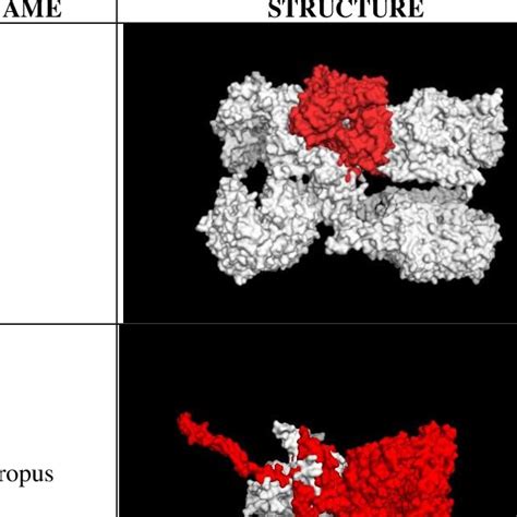 Shows Structure Alignment In Between Sars Cov 2 Nucleocapsid Protein Download Scientific