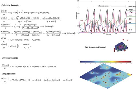 Figure Showing Various Processes Involved In The Simulation Plot Of Download Scientific