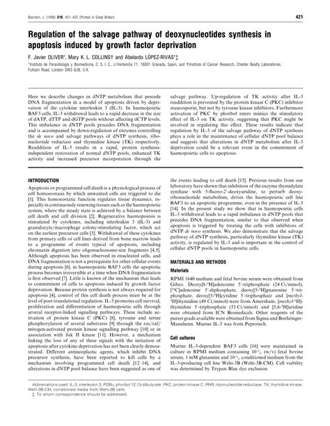Pdf Regulation Of The Salvage Pathway Of Deoxynucleotides Synthesis In Apoptosis Induced By