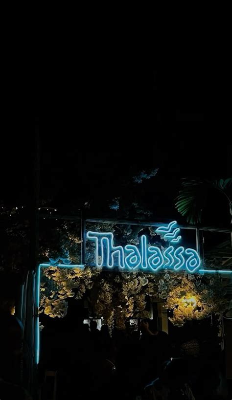 Thalassa Goa🏖️🌊 Party Night Club Aesthetic Best Poses For Pictures