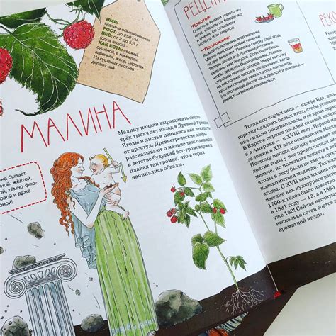 Фруктовые истории. Из чего делают сок, варенье и другие вкусности ...