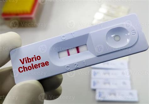 Rapid Test Device Or Cassette For Vibrio Cholerae Test Show Positive