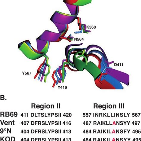 Active Site Models Of Dntp Ddntp And Acyntp Interactions A The Rb69 Download Scientific